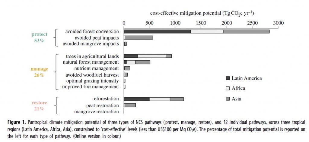 The potentials and limitations of tree plantings as a climate solution ...