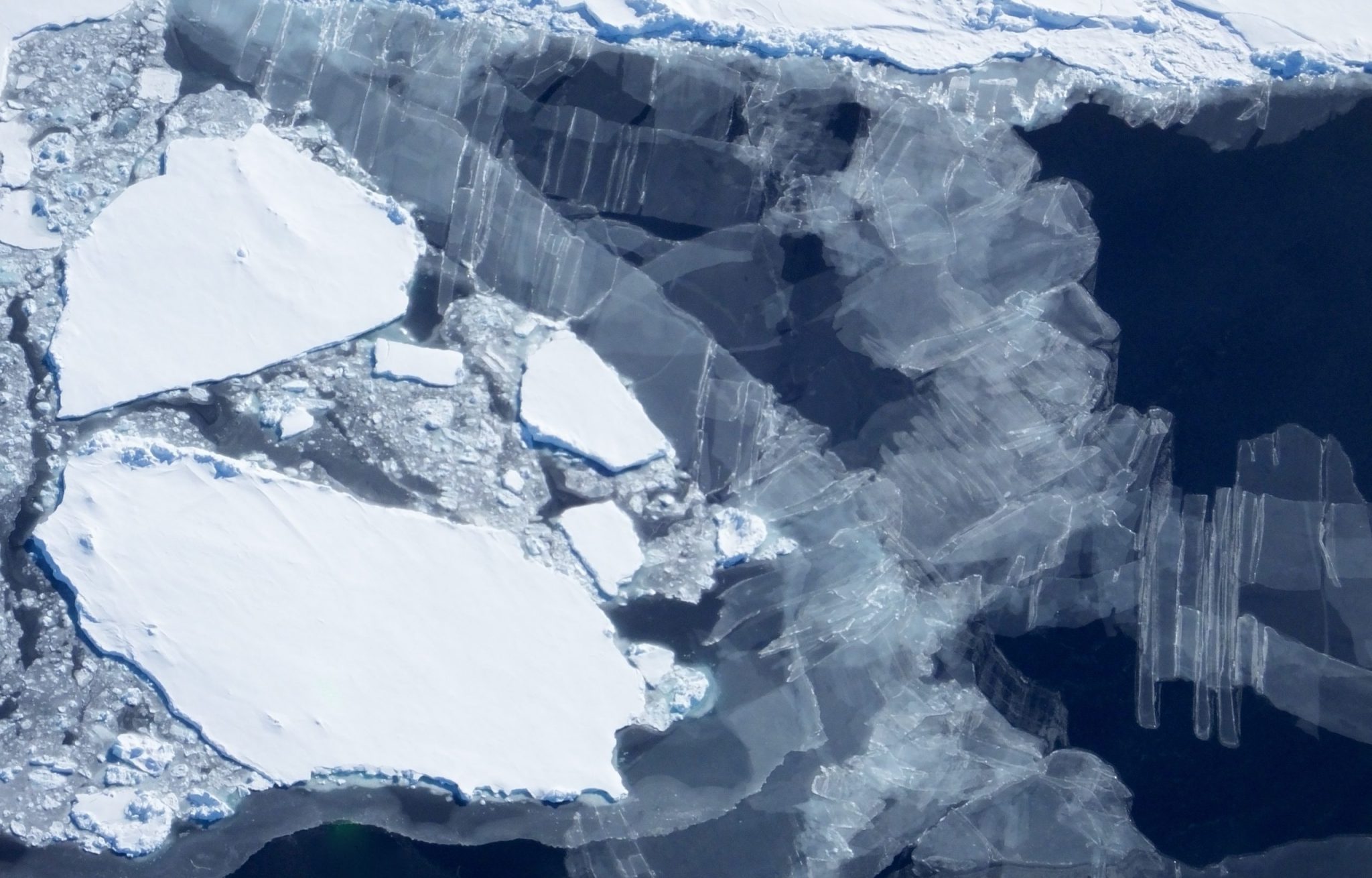 How sea ice in the Arctic and the Antarctic is influenced by climate ...